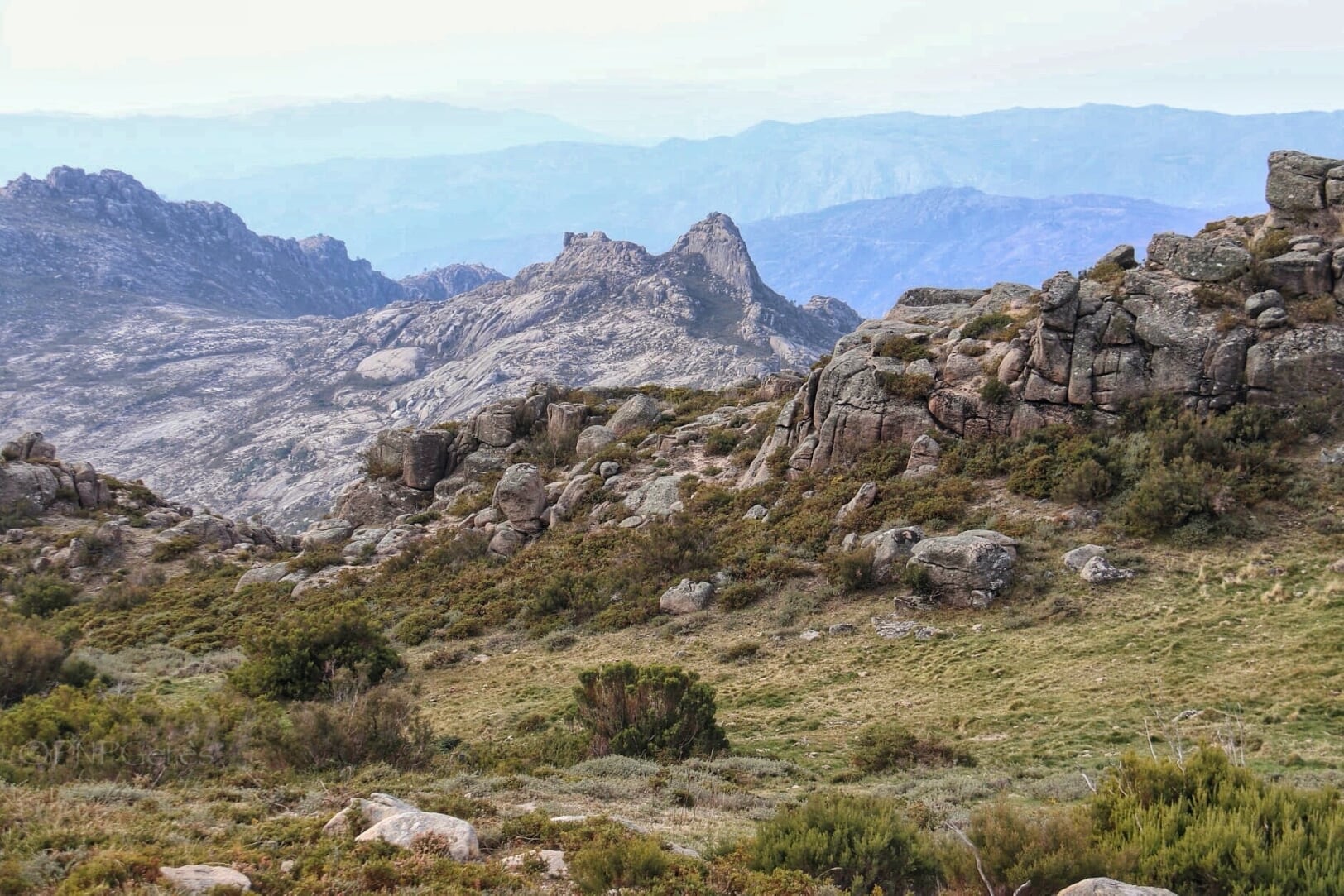 Pé De Salgueiro – Parque Nacional