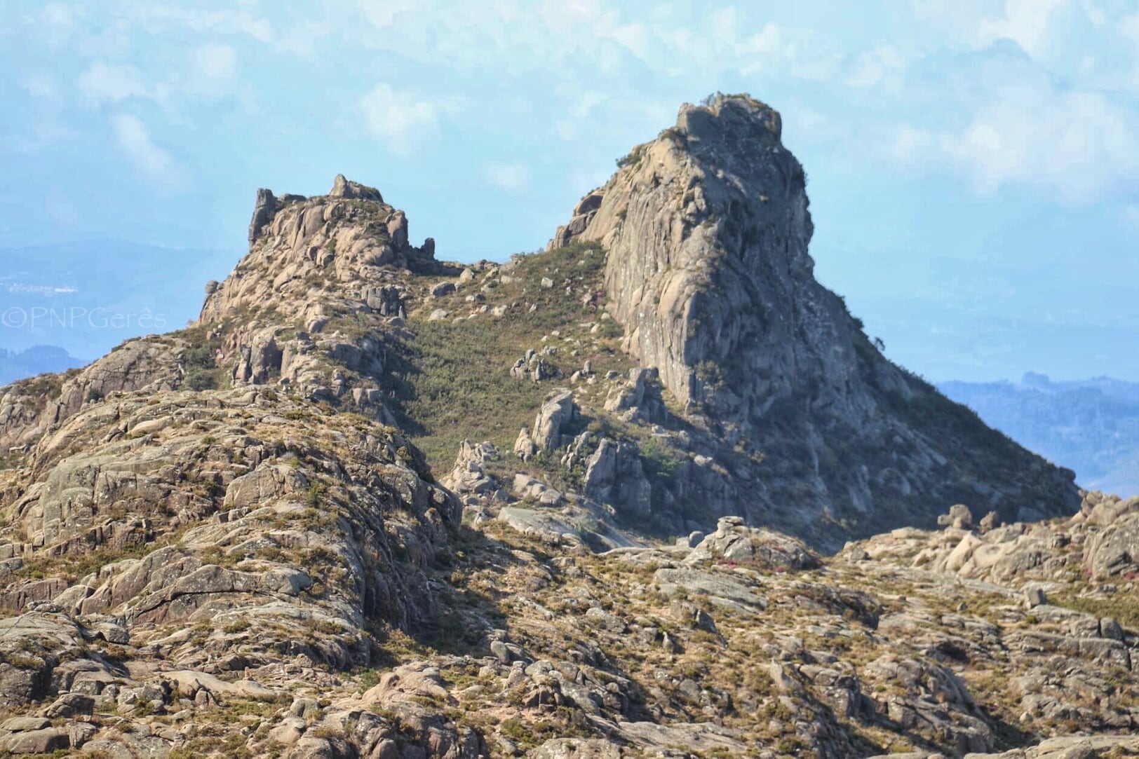 Pé De Salgueiro – Parque Nacional