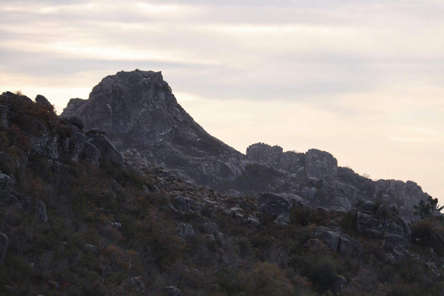 Pé De Salgueiro – Parque Nacional